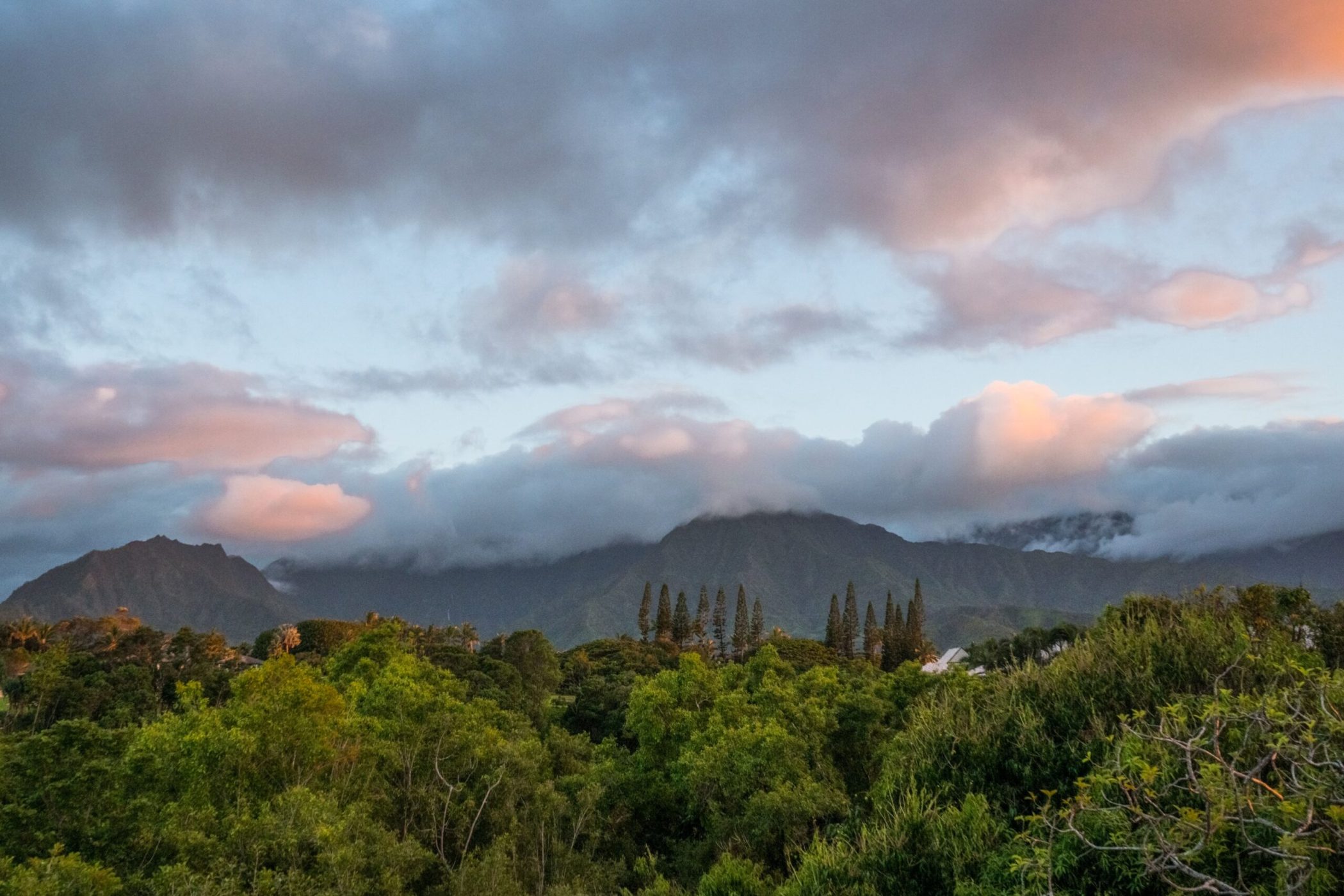 The Trees Of Kauai | Koloa Zipline